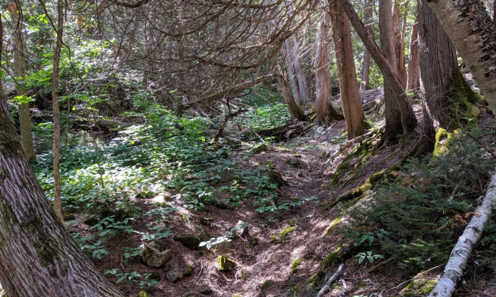 Lake Talon Conservation Association – Working together today to ensure ...